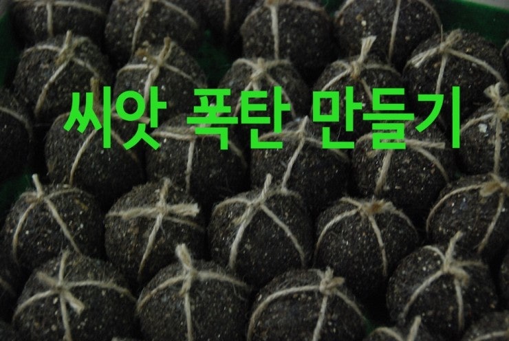 게릴라 가드닝 씨앗 폭탄 만들기 네이버 블로그